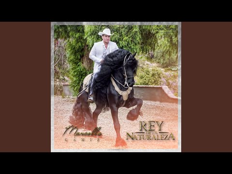 Arenita Blanca