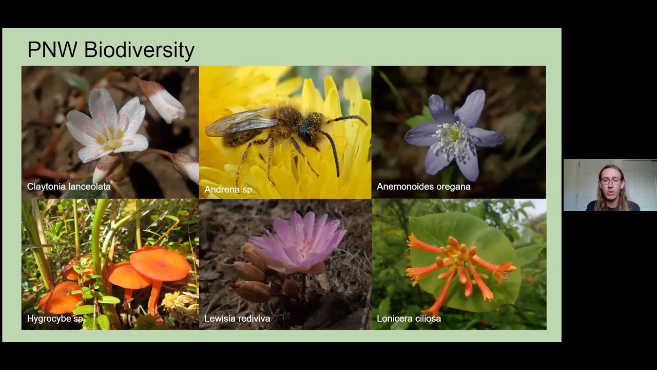 Botany of the Pacific Northwest with Nolan Exe