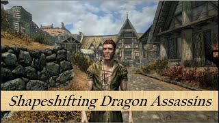 Shapeshifting Dragon Assassins - The Vengeful Courier Mod at Skyrim ...