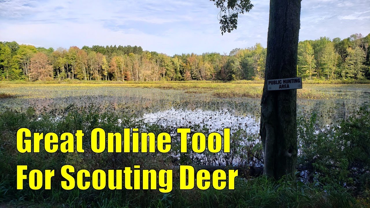 Great Online Tool for Scouting Deer Activity Patterns
