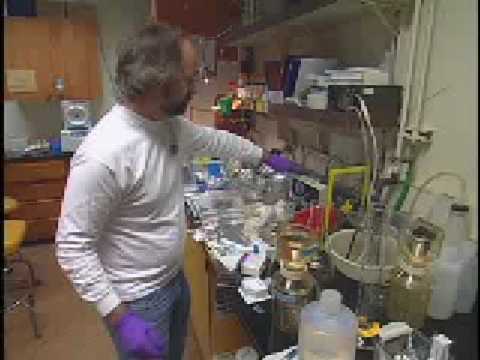 Studying Cyanobacteria