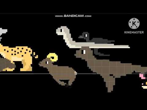 Taiga Animals 1 and 2 - @TheKidsPictureShow