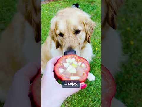 Frozen stuffed pepper pupsicle 🐶