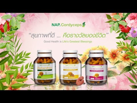 NAP. Cordyceps ถั่งเช่าจากฟาร์มเพาะเลี้ยงระบบปิดโดยนักจุลชีววิทยา