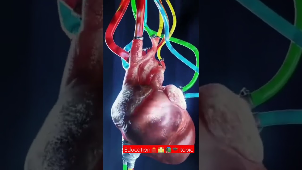 Heartbeat two | 3D loop animation #shorts #viral