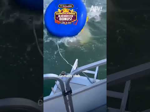 Laugh out loud #funnyvideo