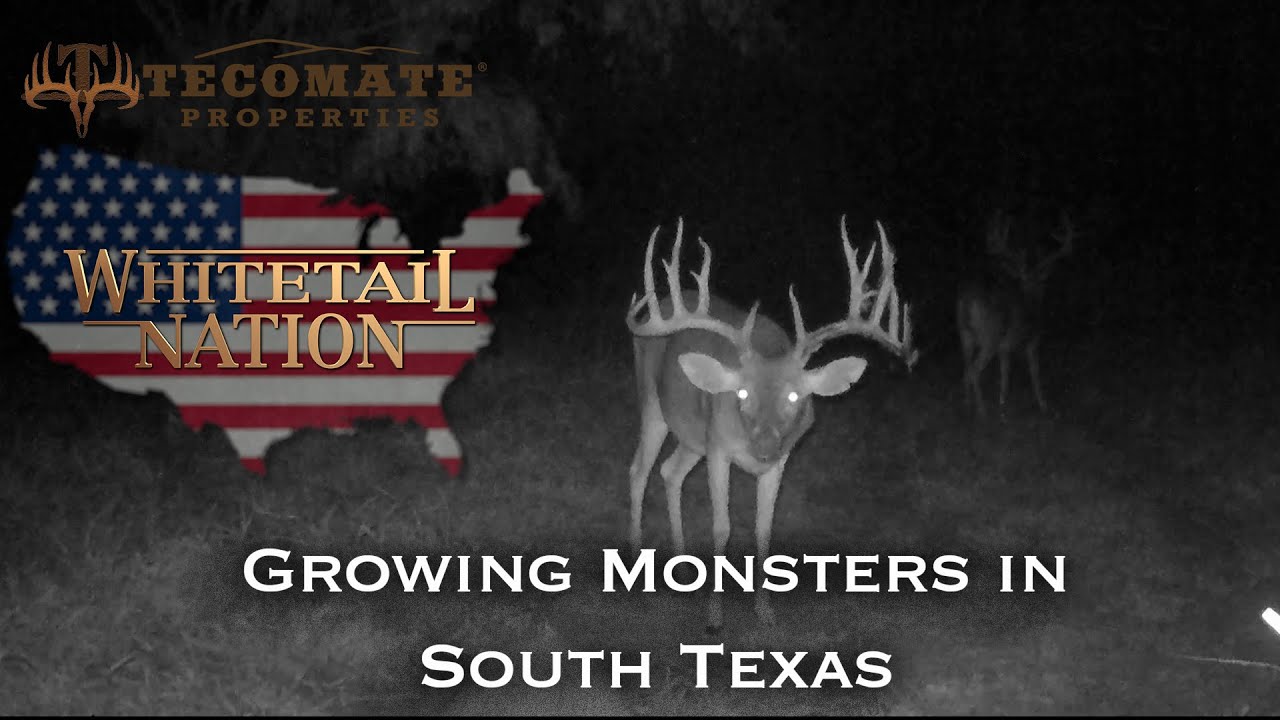 Growing Monsters in South Texas