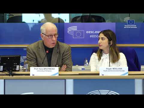 EESC Plenary Recap - January 2025