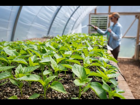 Small Farm Water Access – Friends of Family Farmers