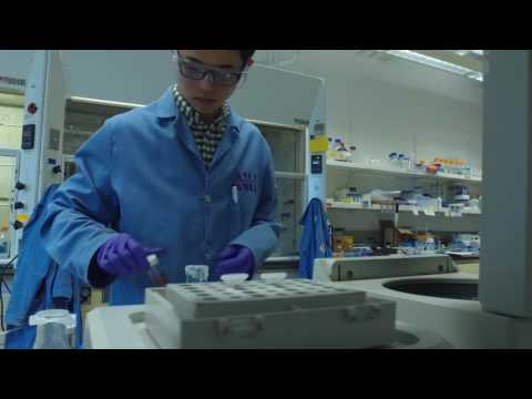 Serendipity in Science