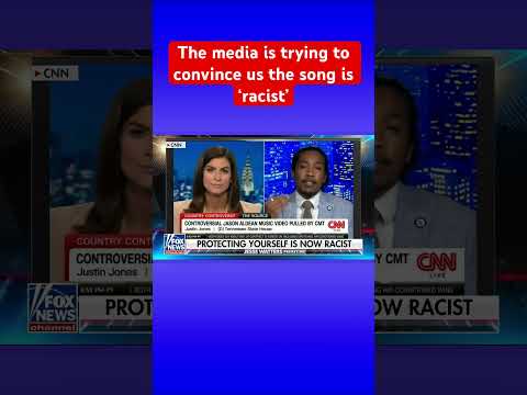 Thank Shannon Watts for canceling Aldean: Jesse Watters #jasonaldean
