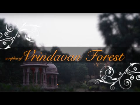 A replica of Vrindavan forest at Govardhan Ecovillage