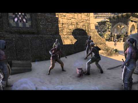 Perfect example of ESO — Elder Scrolls Online