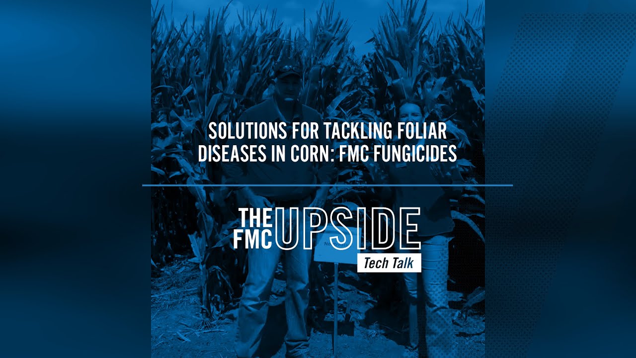 Solutions for Tackling Foliar Diseases in Corn: FMC Fungicides