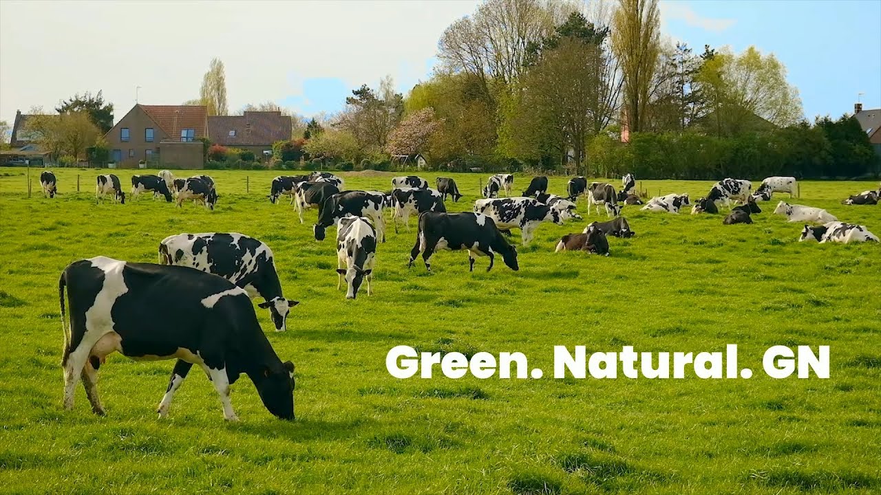 GN Good Nutrition Product Video: Our Vision in Every Feed
