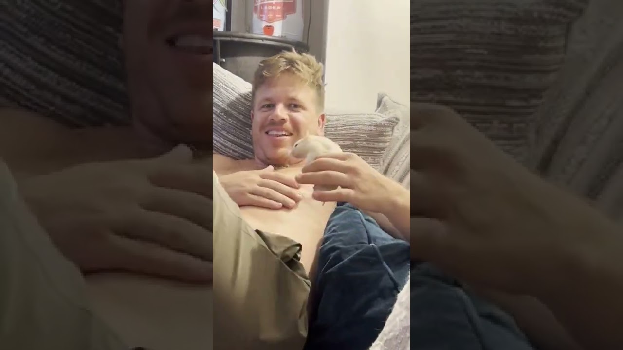 Cheeky hamster bites man on the nipple