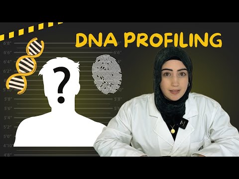 DNA Profiling Explained | HSC Biology Made Simple