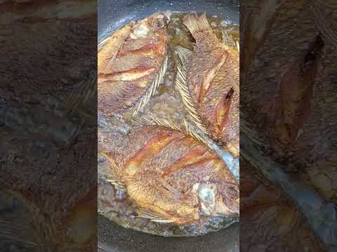 Mojarra frita #comidamexicana # comida #Mojarra.