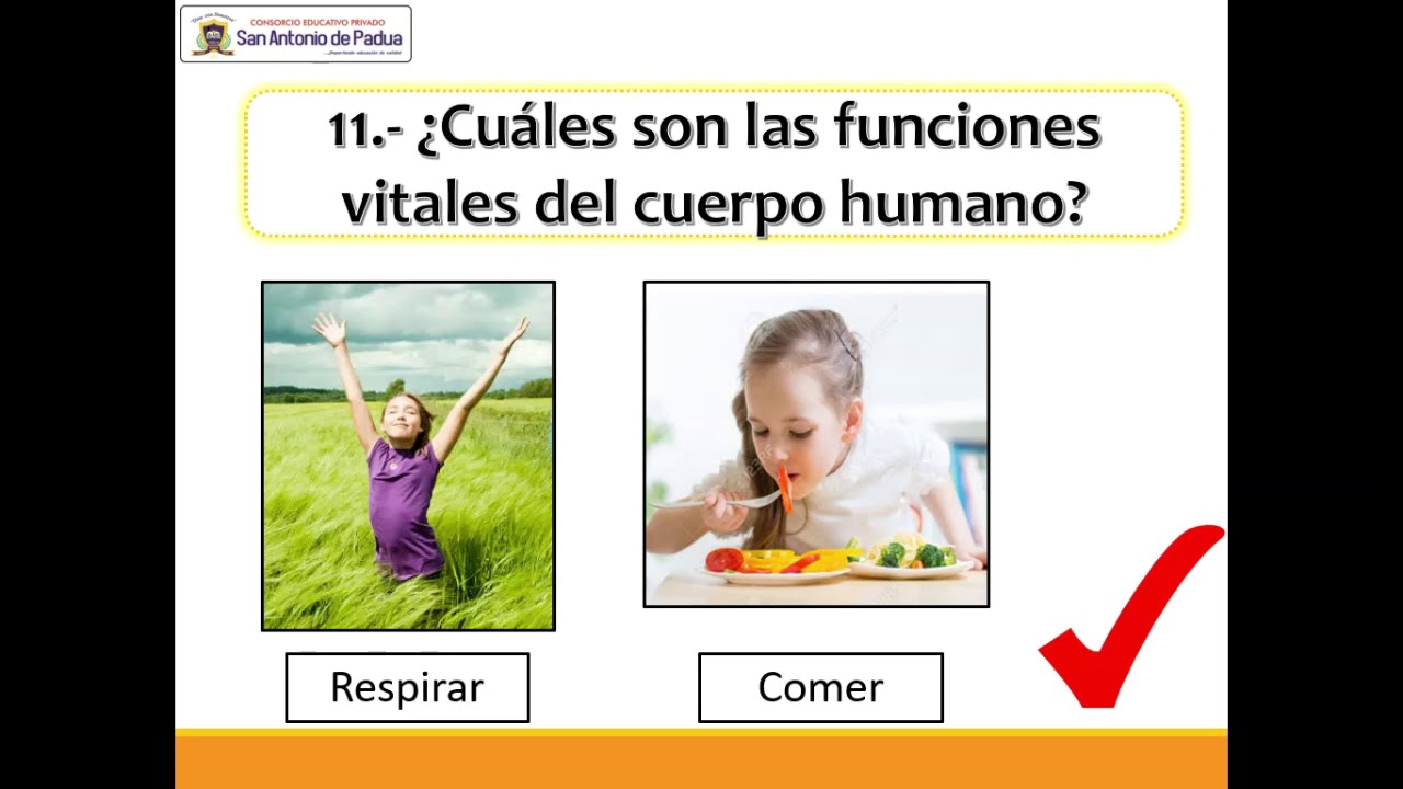 2 A PRIMARIA - CURSO: CIENCIA Y AMBIENTE