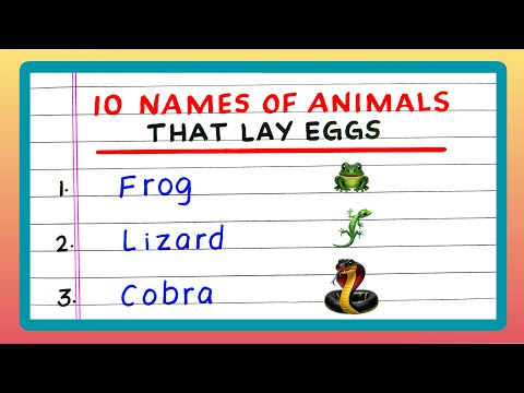 10 Animals that Lay Eggs | Oviparous Animals | Names of Animals that lay Eggs