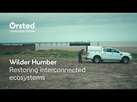 Wilder Humber: Restoring interconnected ecosystems