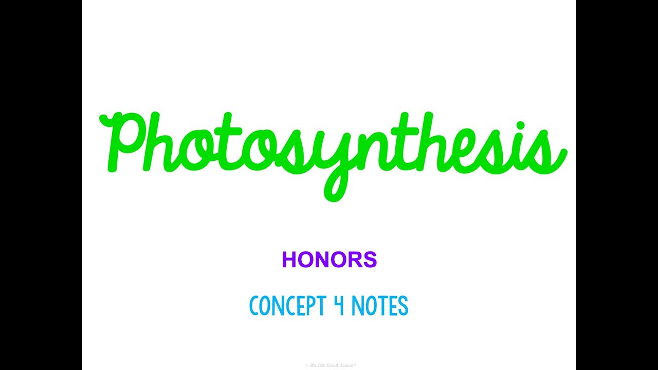 Unit 3 Energy Flow HONORS Concept 4 Notes *UPDATED*