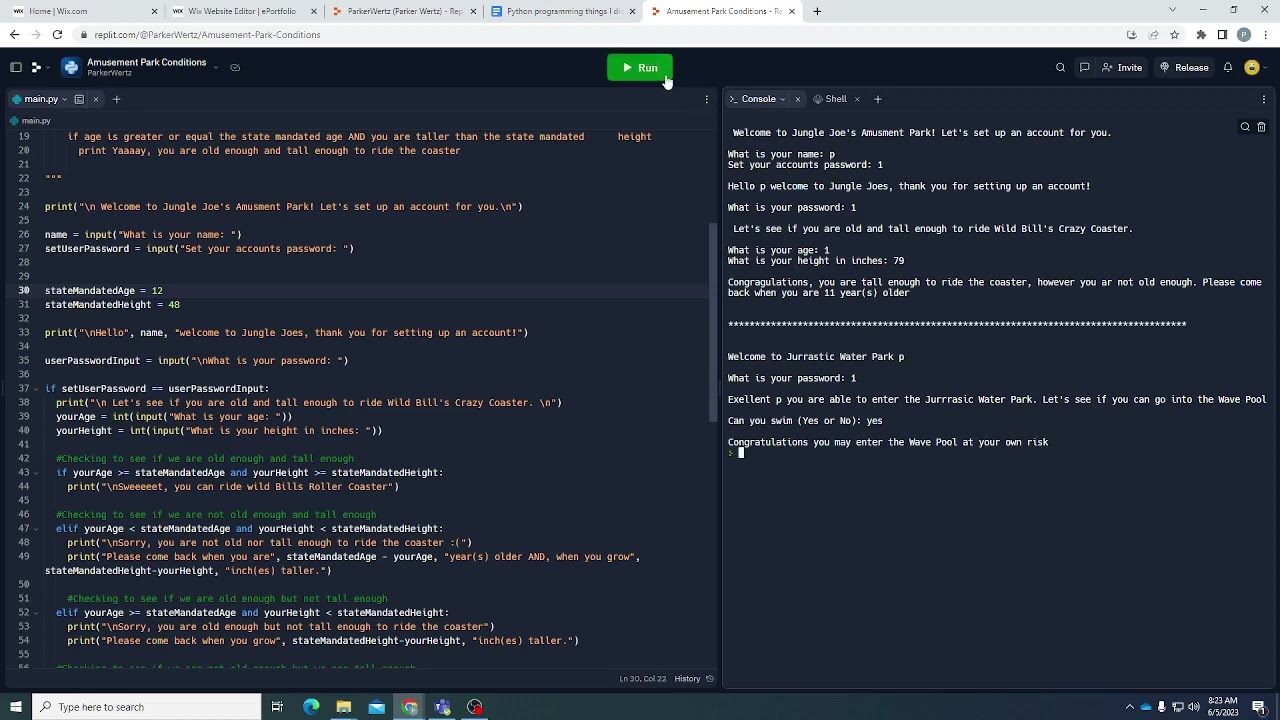 Python program: Amusement Park