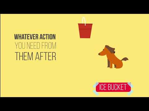 How to write an explainer video script in 60 seconds