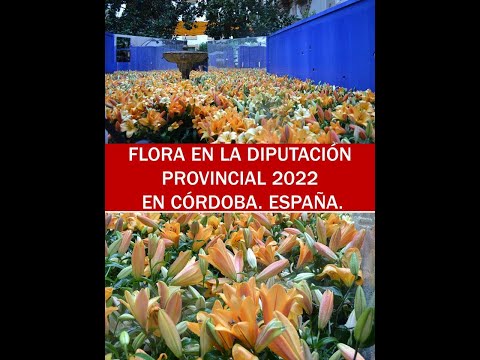 FLORA EN LA DIPUTACIÓN PROVINCIAL 2022 EN CÓRDOBA. España.