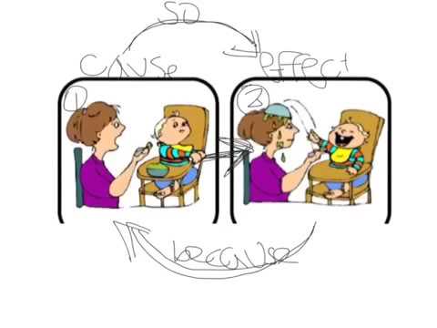 Text structure - cause and effect