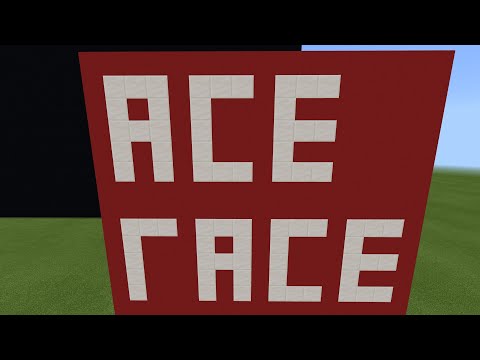 I made my own mini Ace Race map!!