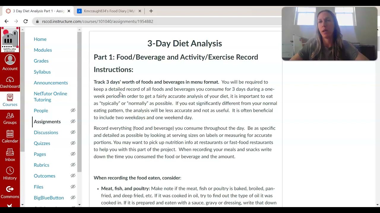 3 Day Diet Analysis Instructions