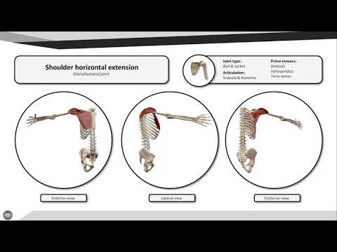 Shoulder horizontal extension