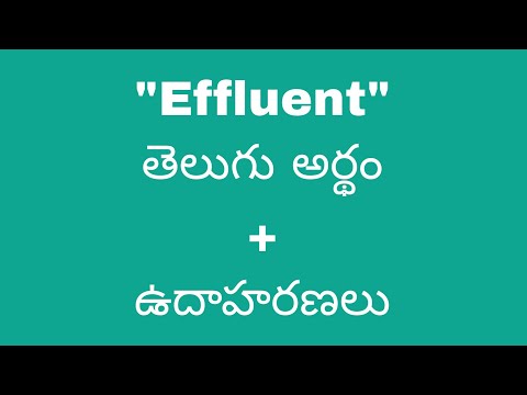 Effluent meaning in telugu with examples | Effluent తెలుగు లో అర్థం @Meaning in Telugu