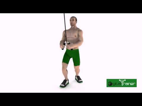 EXTENSION DE TRICEPS EN POLEA | PREPARACIÓN FÍSICA INTEGRAL