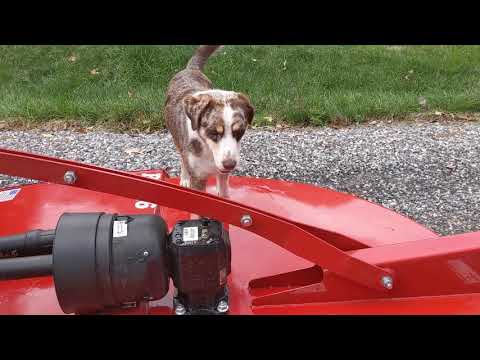 Bushhog rotary cutter BH216 review