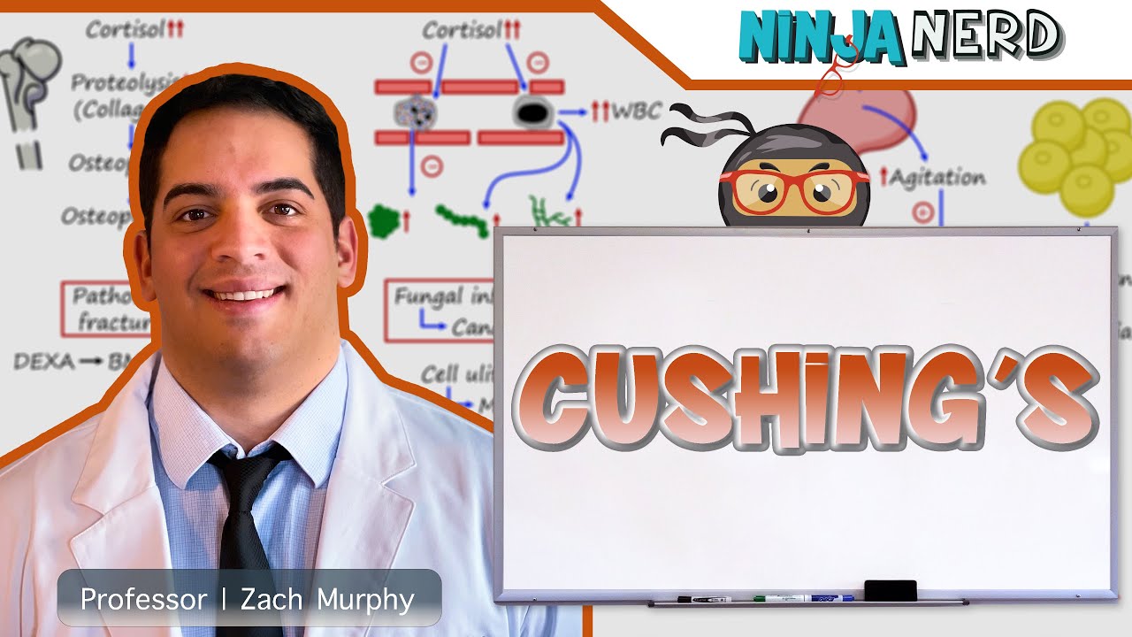 Understanding Cushing's Syndrome and Cushing's Disease: A Comprehensive ...