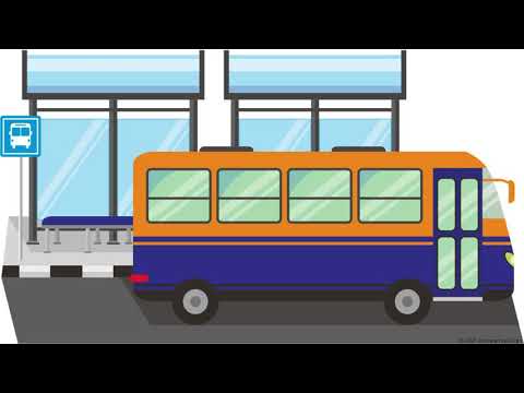 English Places and Pets & Indefinite and Definite Articles (The, A, An)