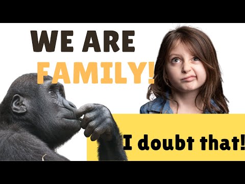 Did we originate from chimpanzees? of course ....!???????? #shorts