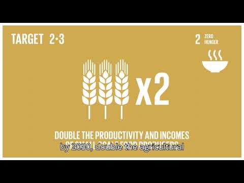 SDG target #2.3