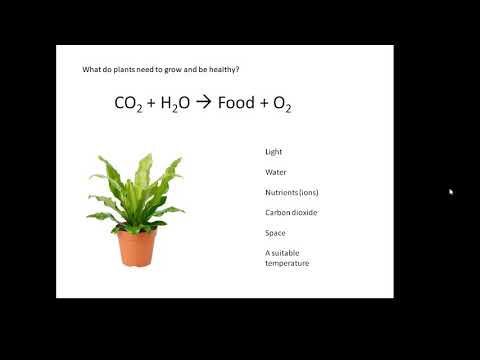 BTEC Applied Science: Unit 3 Biology What Plants Need