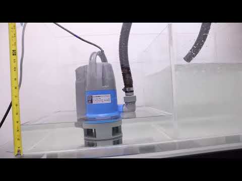LRD750 Sump Pump - Premium Pumps USA - Schraiberpump in Real Time not sped up