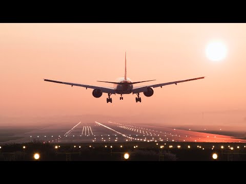 Massive layoffs loom for airline industry amid COVID-19