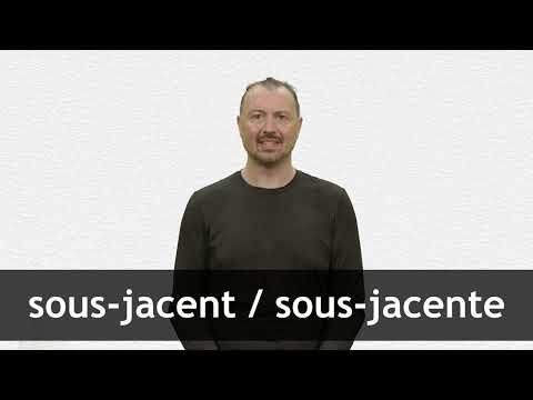 English Translation of “SOUS-JACENT” | Collins French-English Dictionary
