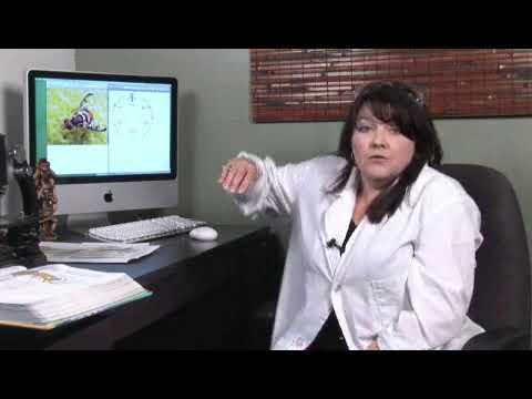 How Long Do Fruit Flies Live?