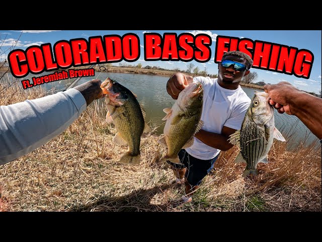 WATCH: $2.7M NIL-valued Travis Hunter shows off impressive fishing ...