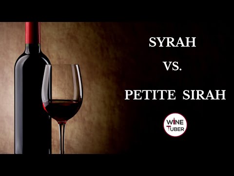 Syrah vs Petite Sirah. What is the differences between Syrah & Petite Sirah | @WineTuber