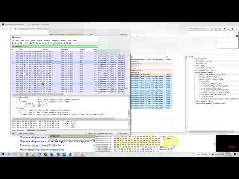 Use python script retrieve a image from IP camera with RTSP protocol and RTP payload (H.265)