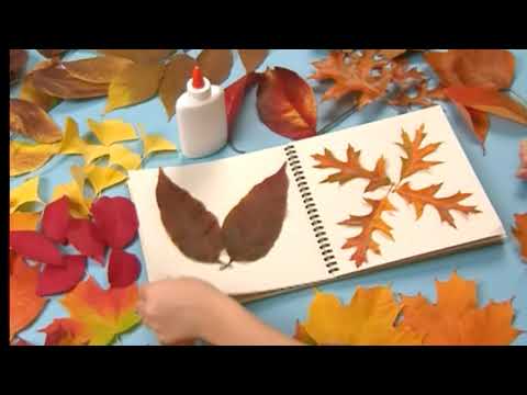 Autumn Season. What do we do in the autumn. ESL video.