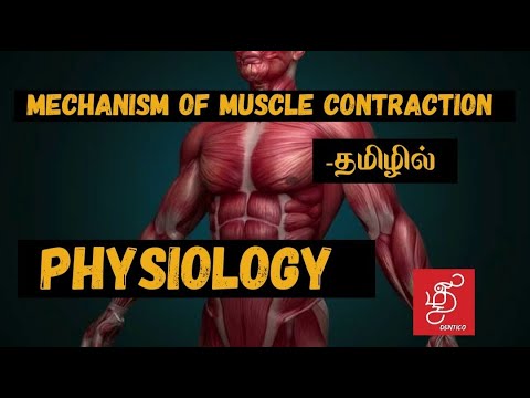 MECHANISM OF MUSCLE CONTRACTION IN TAMIL-PHYSIOLOGY